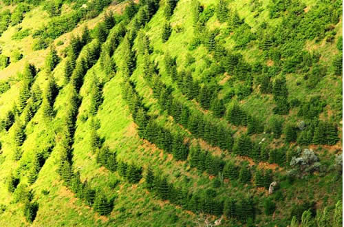 Erozyon Nedir? Erozyon Nasıl Oluşur? | Bilgi Birikimi